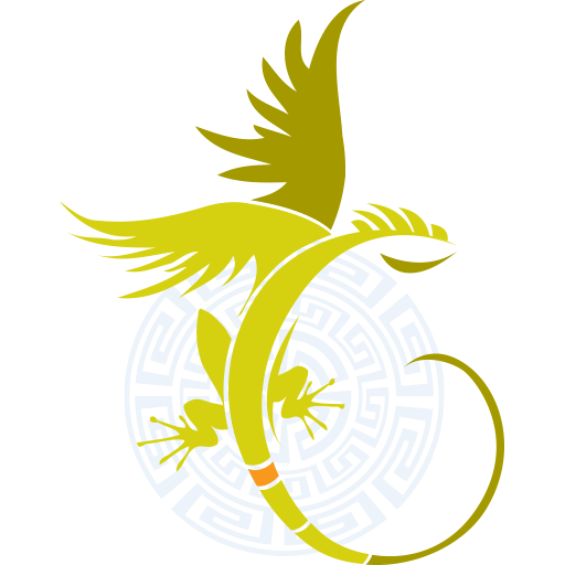 Dinner | Flying Iguana