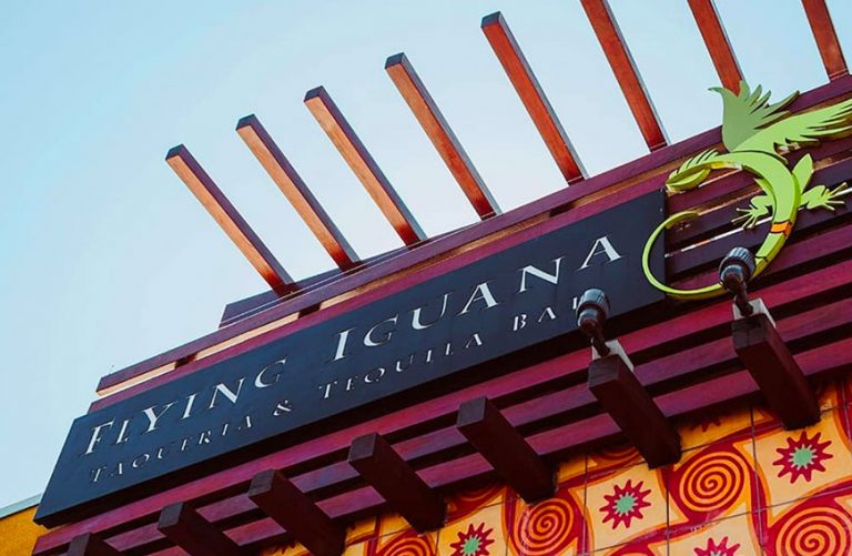 About - Flying Iguana