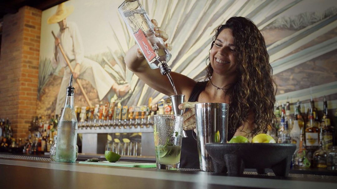 About - Flying Iguana